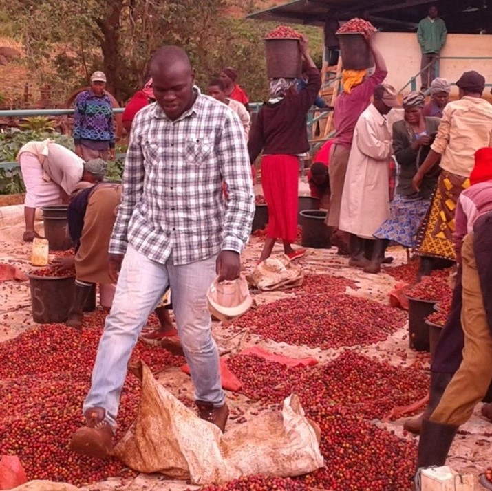 Endebess - Kmen Coffee Roasters